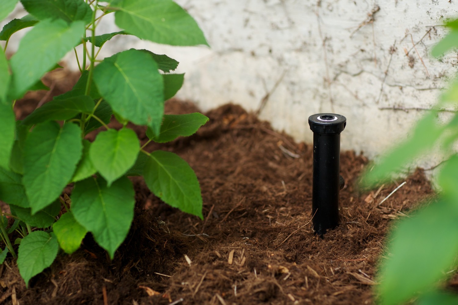 How to Water Your Lawn and Gardens Properly | Select Sprinklers