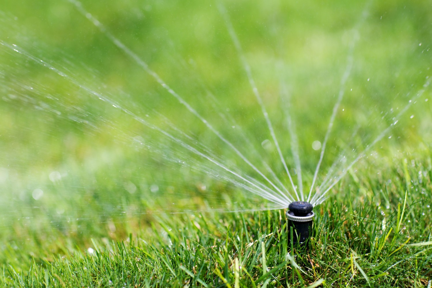 How to Water Your Lawn and Gardens Properly | Select Sprinklers