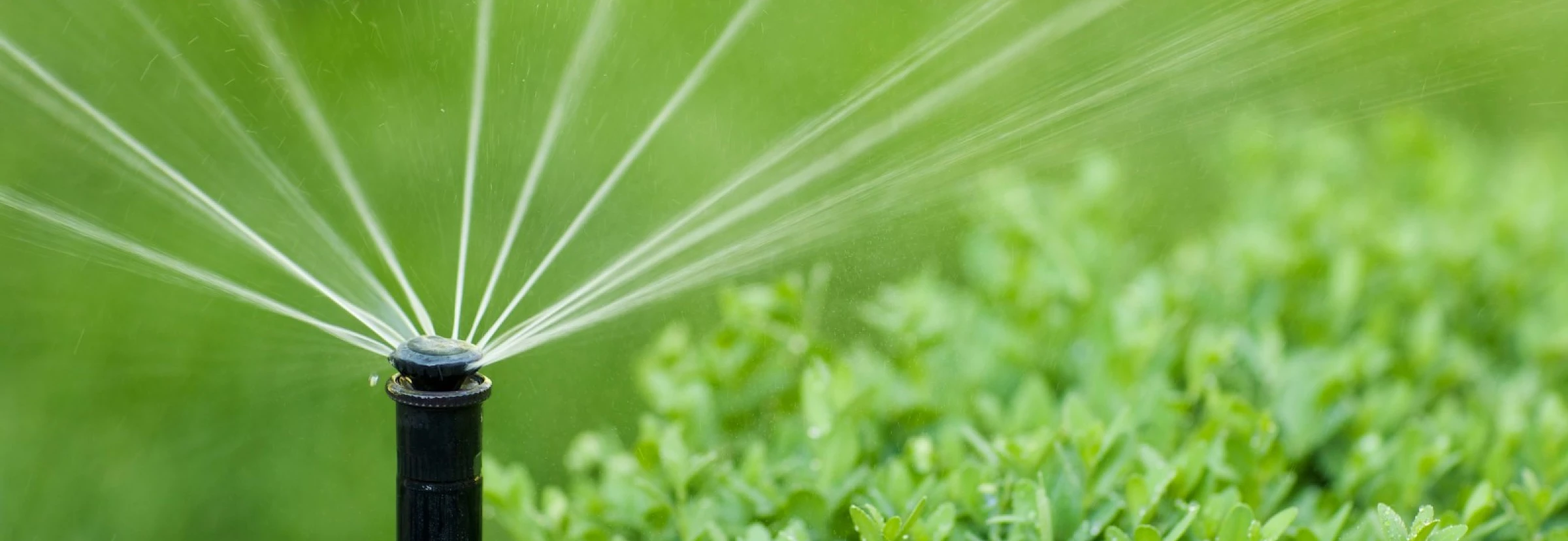 What is “Smart Irrigation”? | Select Sprinklers